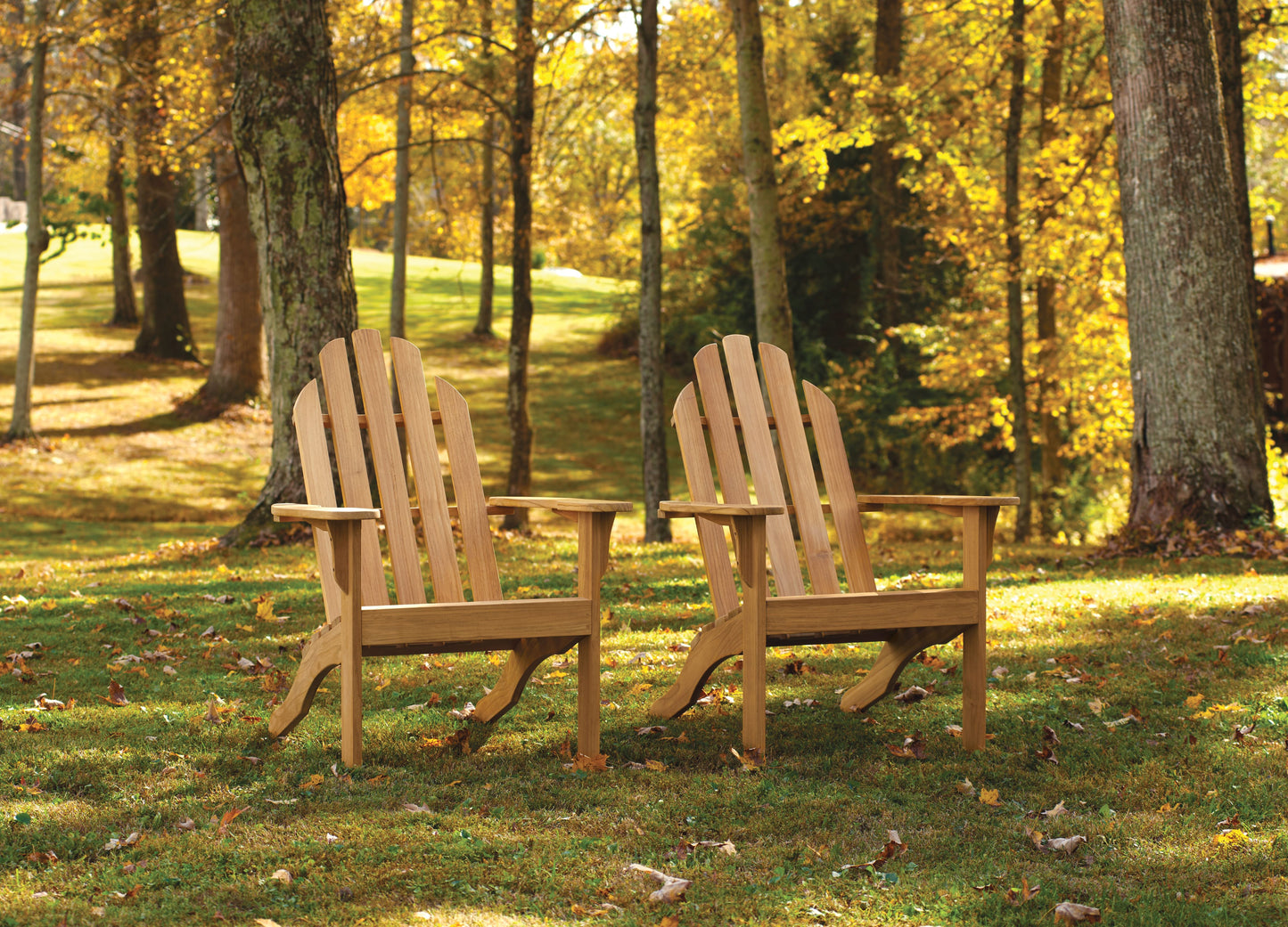Classic Teak Adirondack Chair – D. W. Gilbert & Company